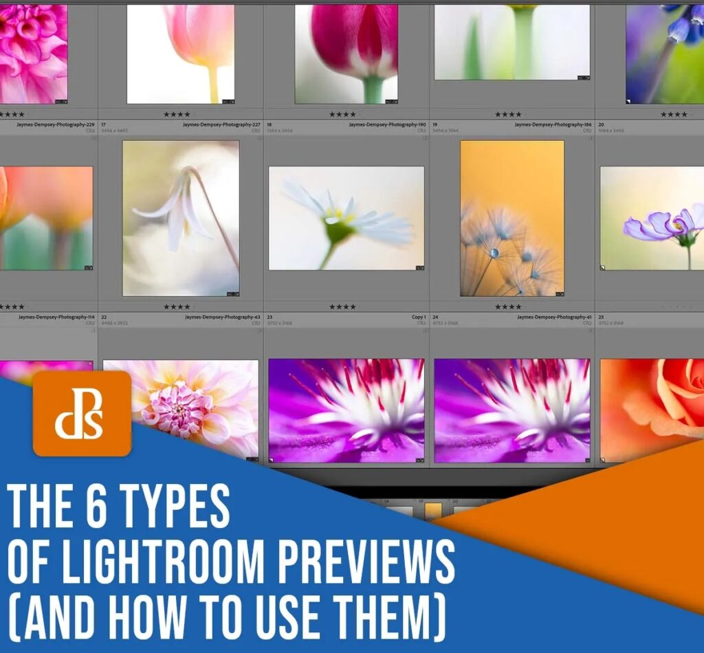 Understanding and Utilizing the 6 Types of Lightroom Previews: A Guide ...